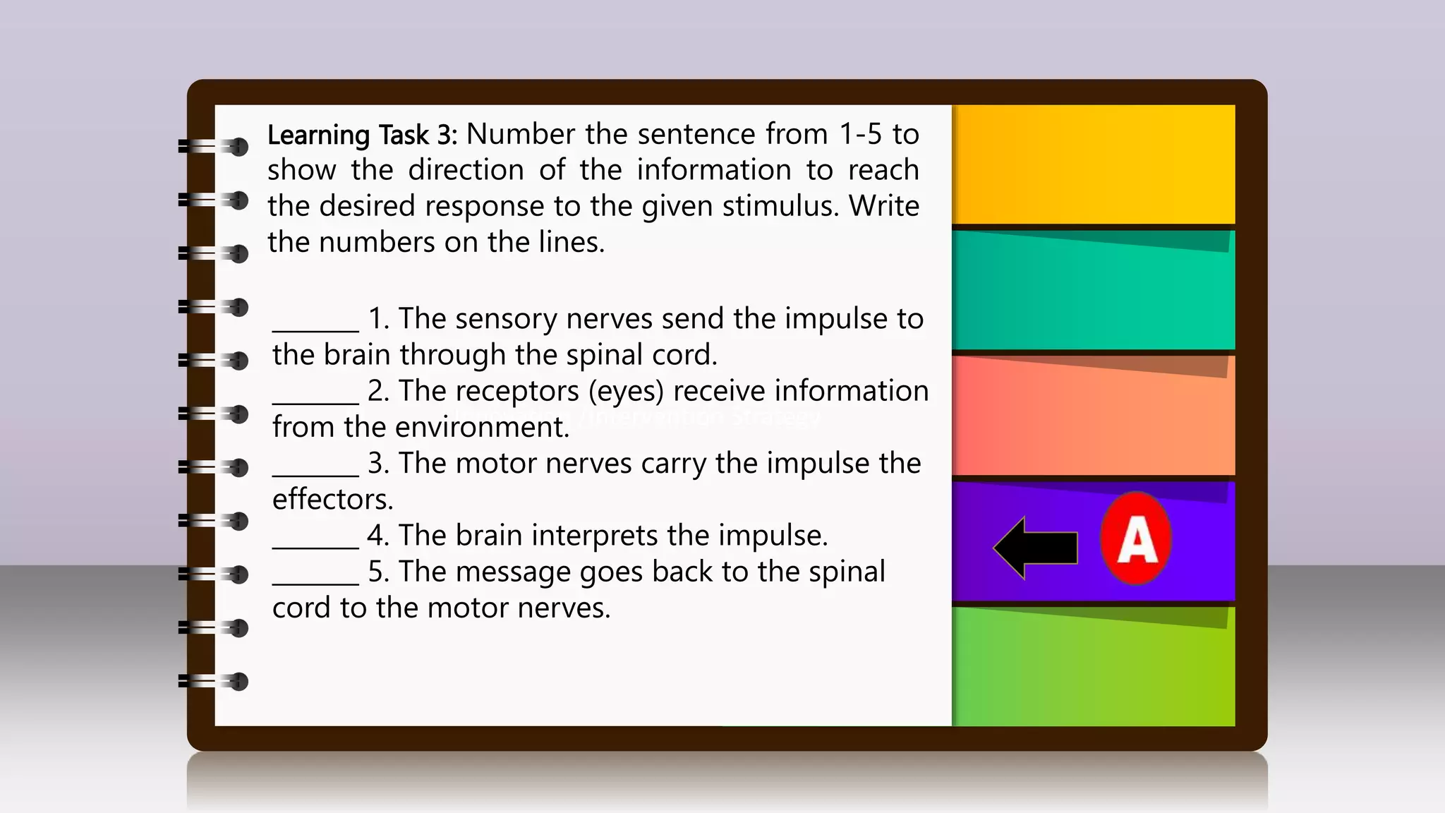 Science 6_Q2_L5_Parts and Function of Nervous System.pptx