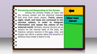 Science 6_Q2_L5_Parts and Function of Nervous System.pptx
