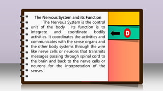 Science 6_Q2_L5_Parts and Function of Nervous System.pptx