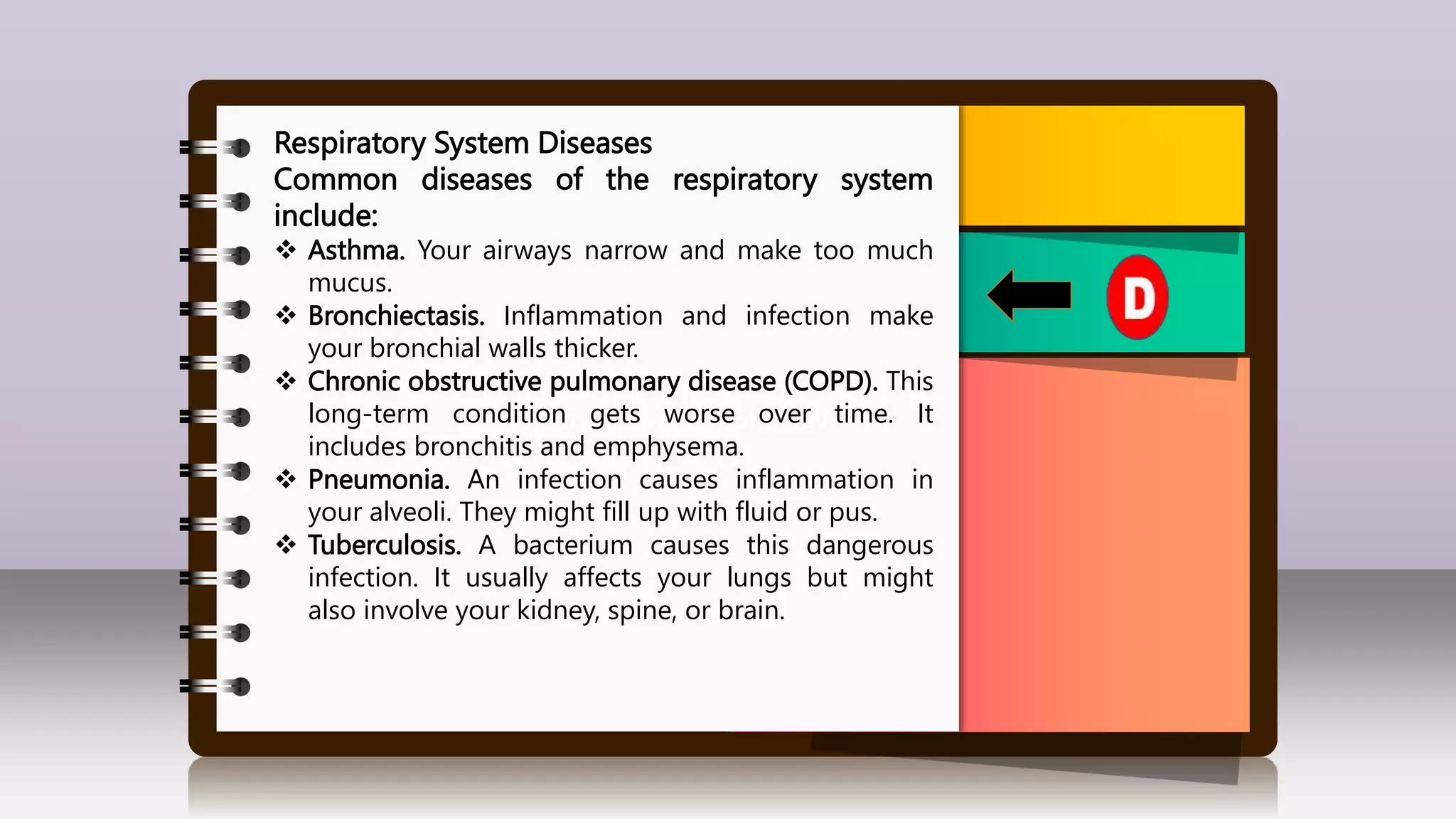 Science 6_Q2_L6_Parts and Function of Respiratory System.pptx