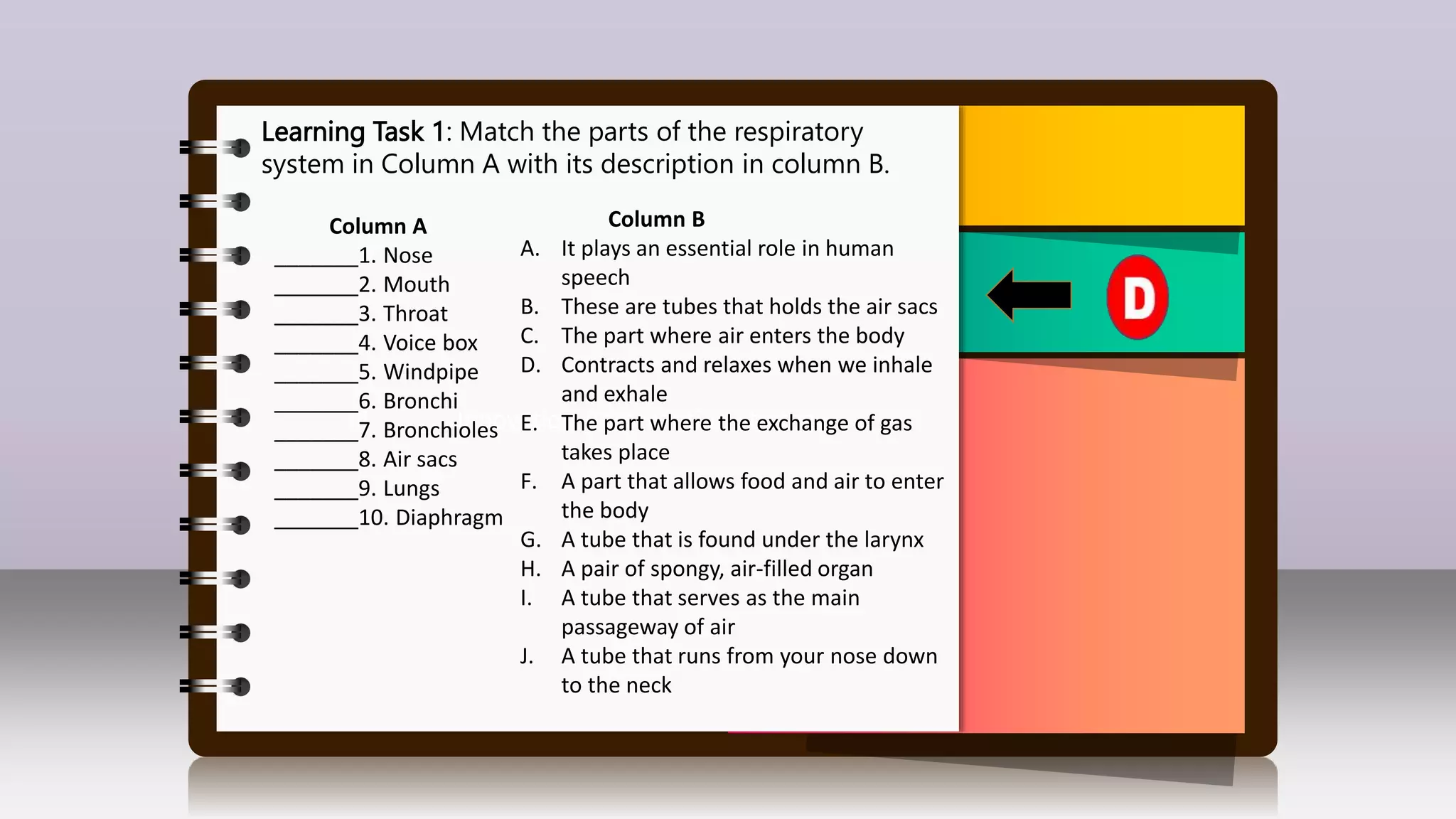Science 6_Q2_L6_Parts and Function of Respiratory System.pptx