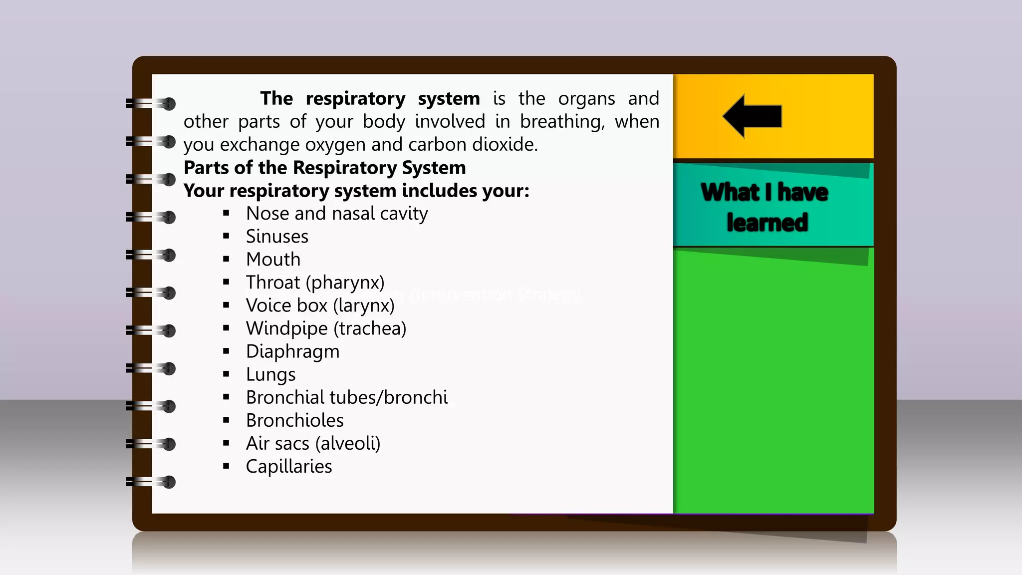 Science 6_Q2_L6_Parts and Function of Respiratory System.pptx