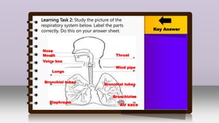 Science 6_Q2_L6_Parts and Function of Respiratory System.pptx