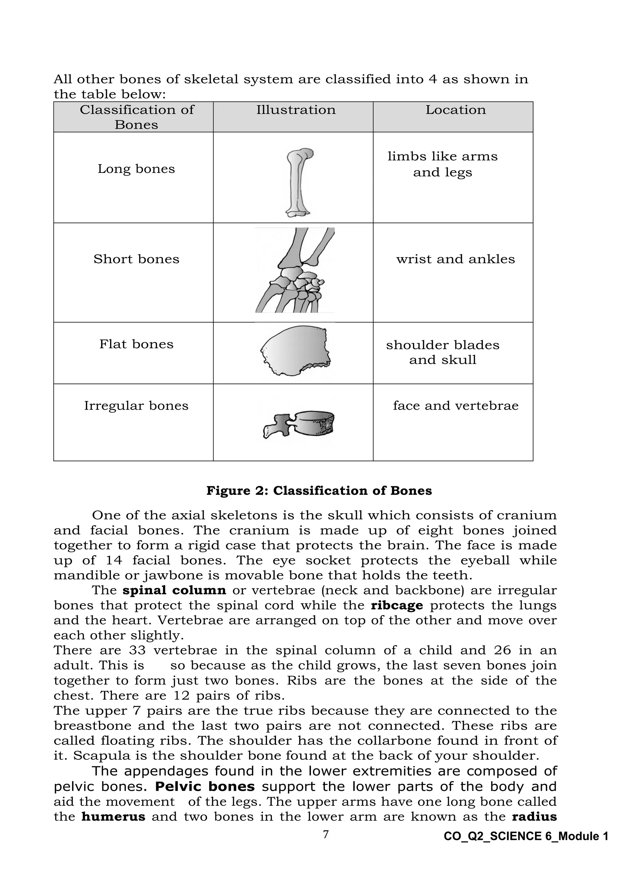 science6_q2_mod1-The-Human-Body-System(Skeletal,etc)-v2.pdf