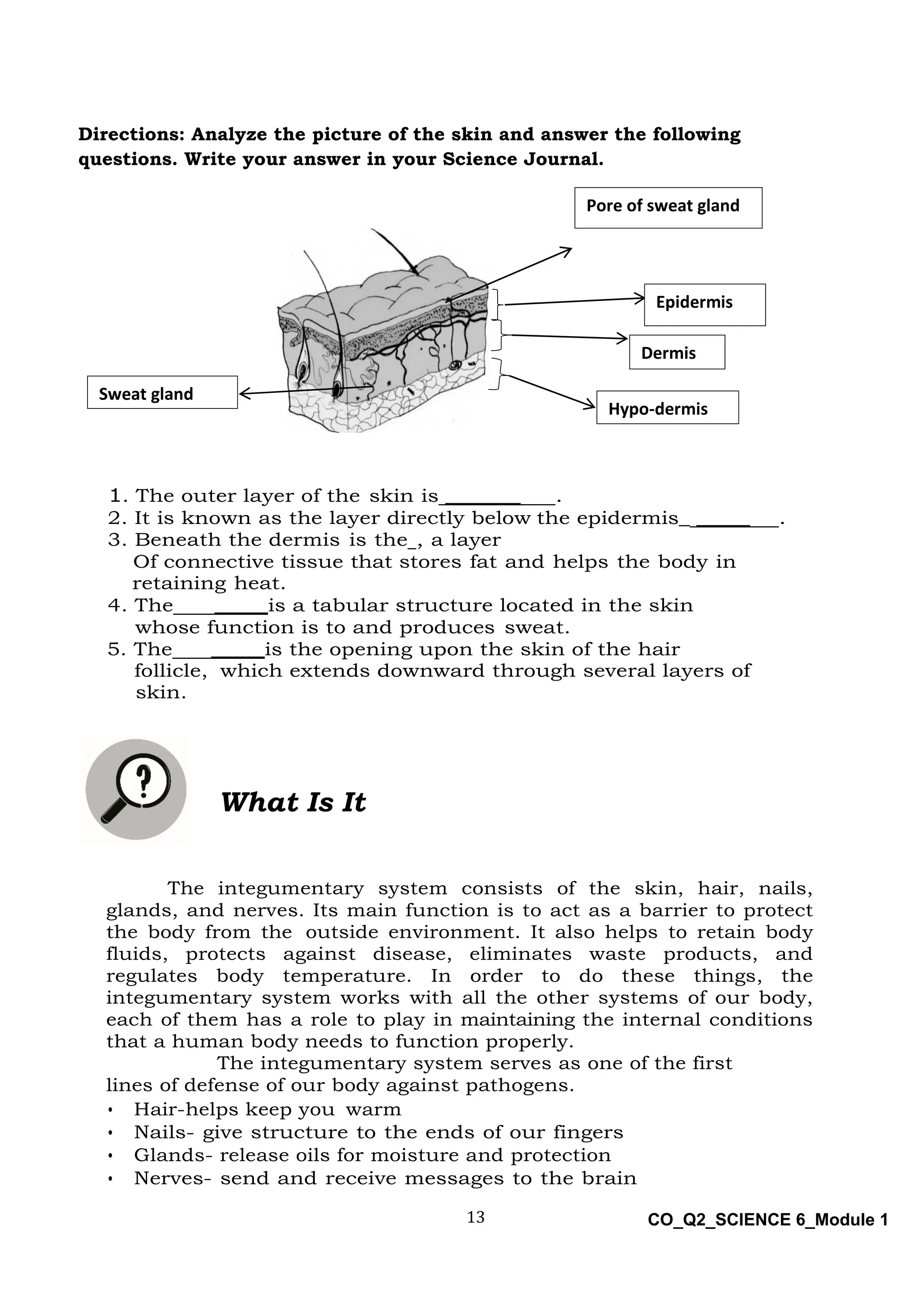science6_q2_mod1-The-Human-Body-System(Skeletal,etc)-v2.pdf