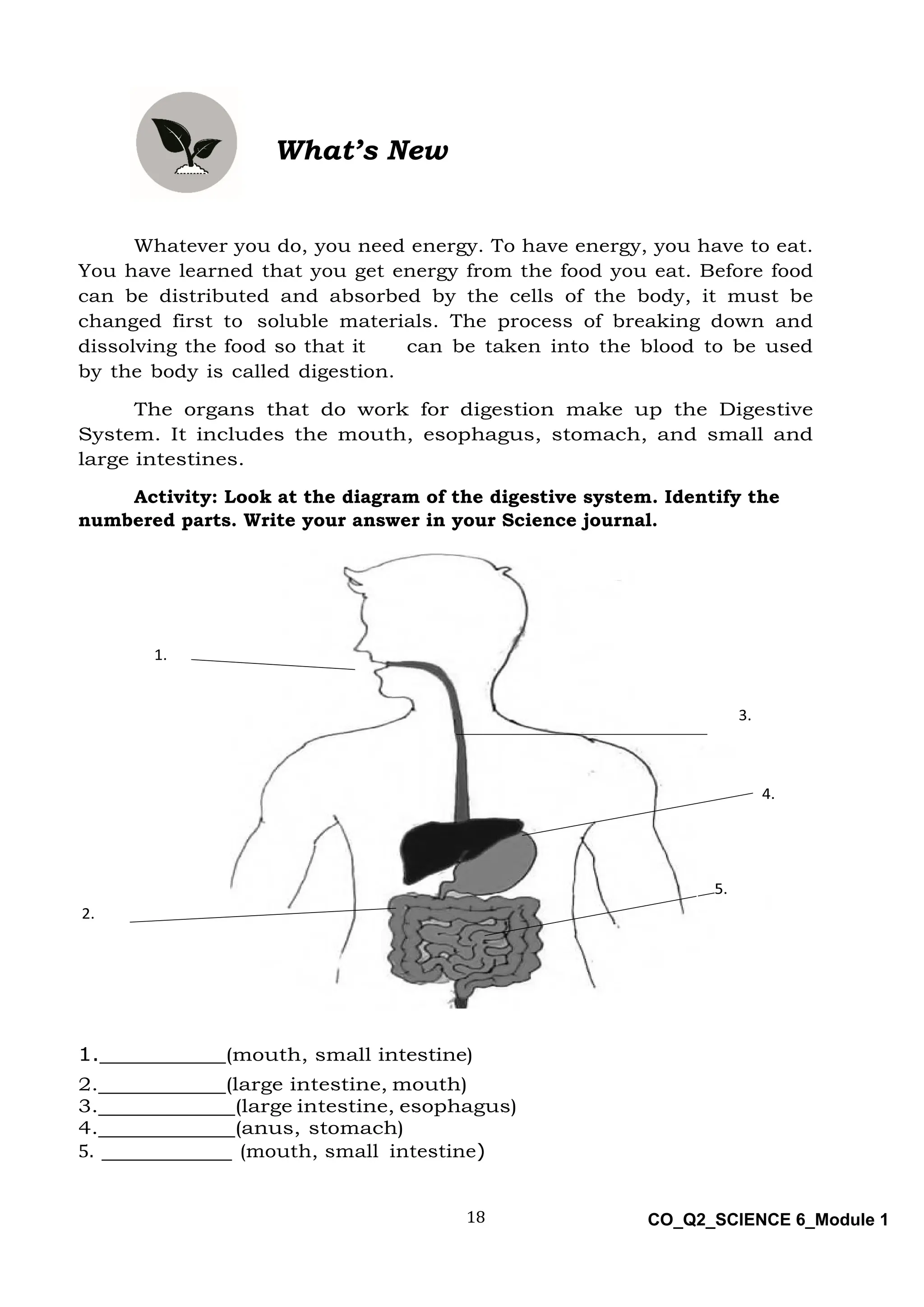 science6_q2_mod1-The-Human-Body-System(Skeletal,etc)-v2.pdf