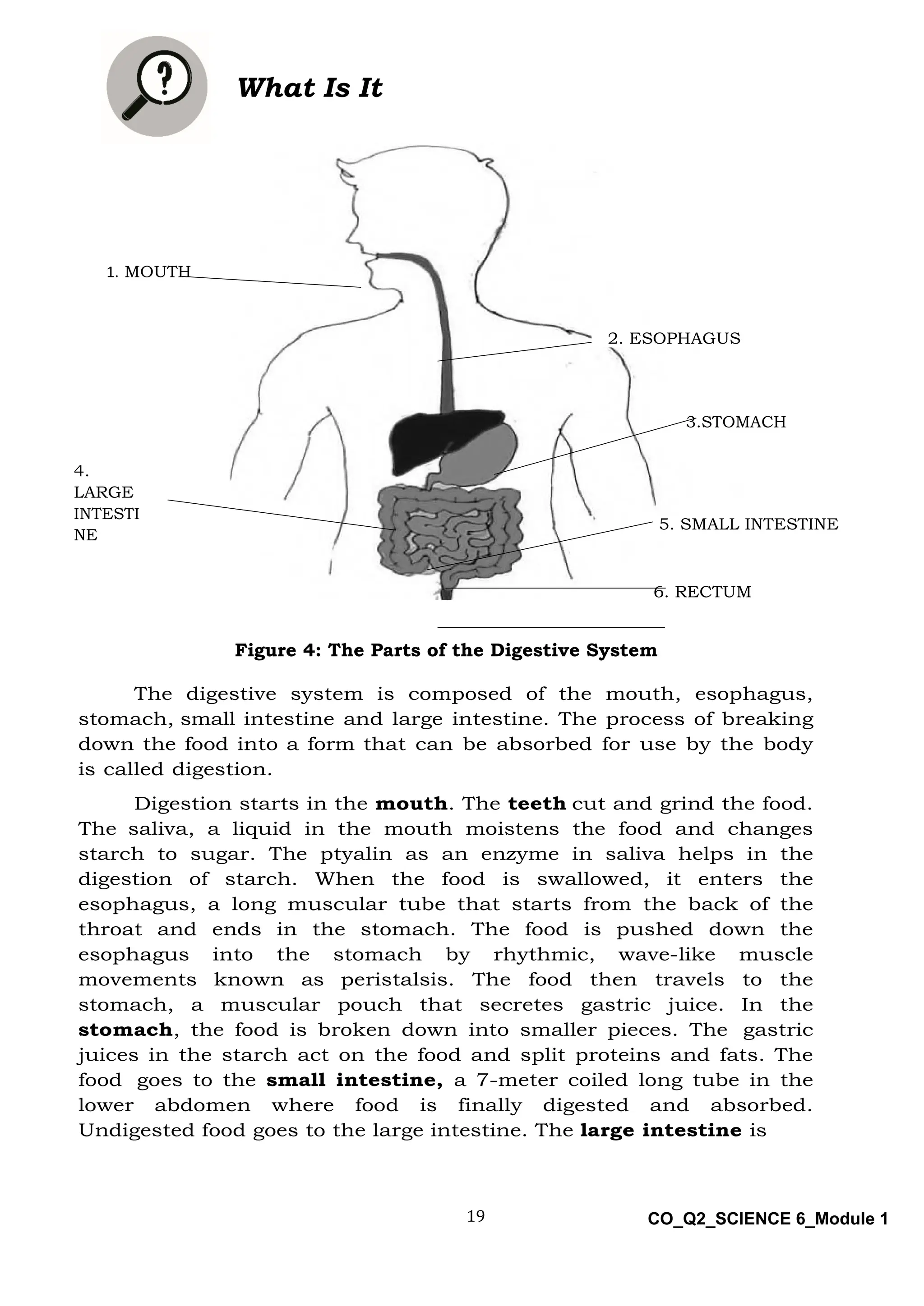 science6_q2_mod1-The-Human-Body-System(Skeletal,etc)-v2.pdf