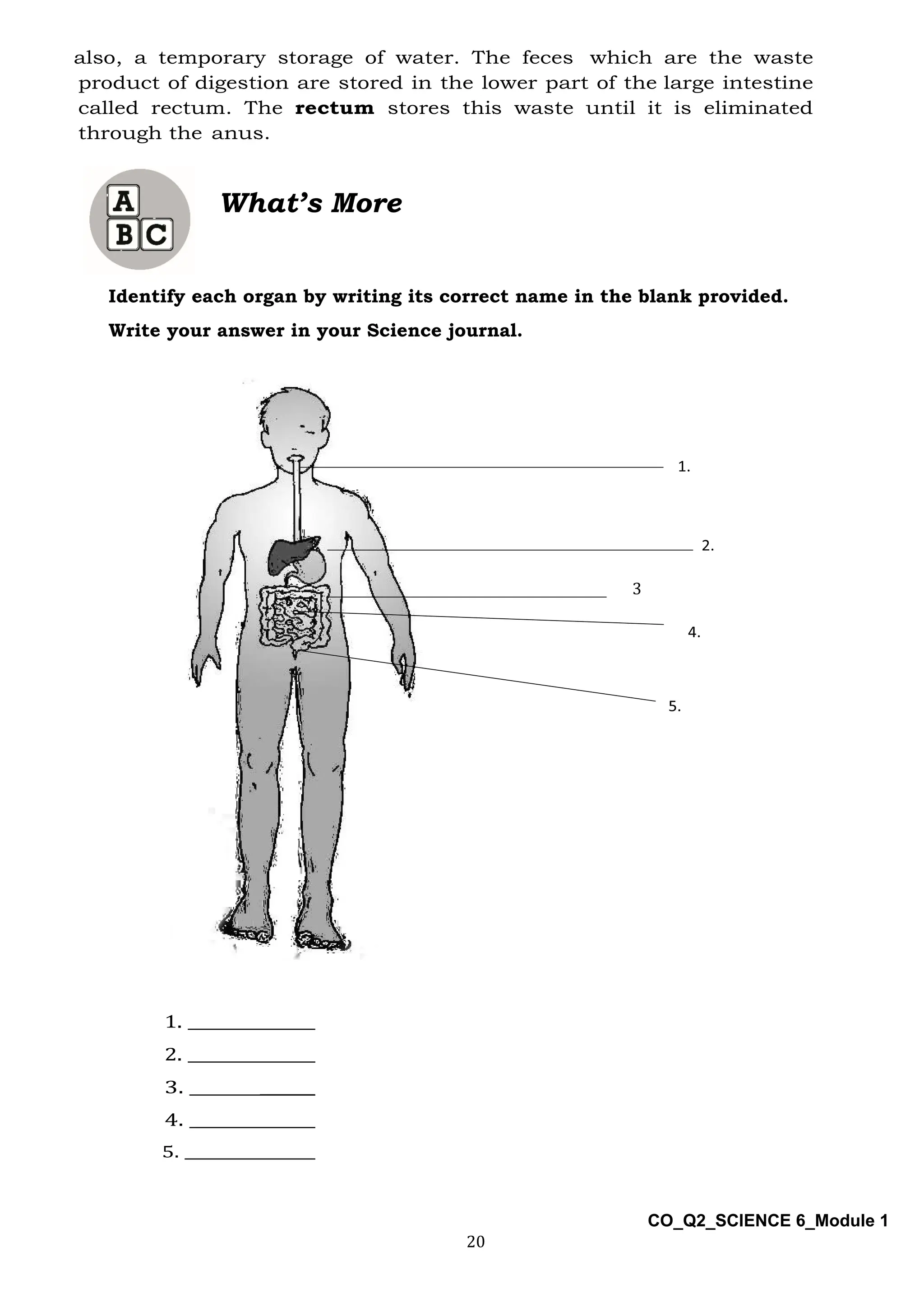 science6_q2_mod1-The-Human-Body-System(Skeletal,etc)-v2.pdf