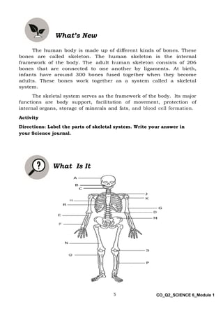 science6_q2_mod1-The-Human-Body-System(Skeletal,etc)-v2.pdf