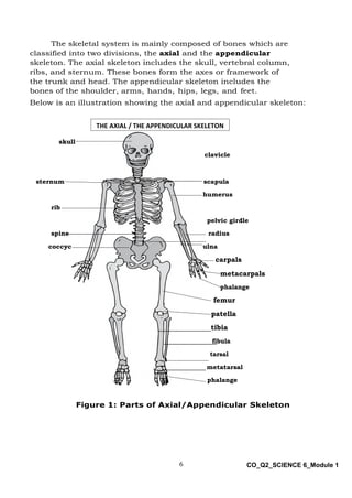 science6_q2_mod1-The-Human-Body-System(Skeletal,etc)-v2.pdf