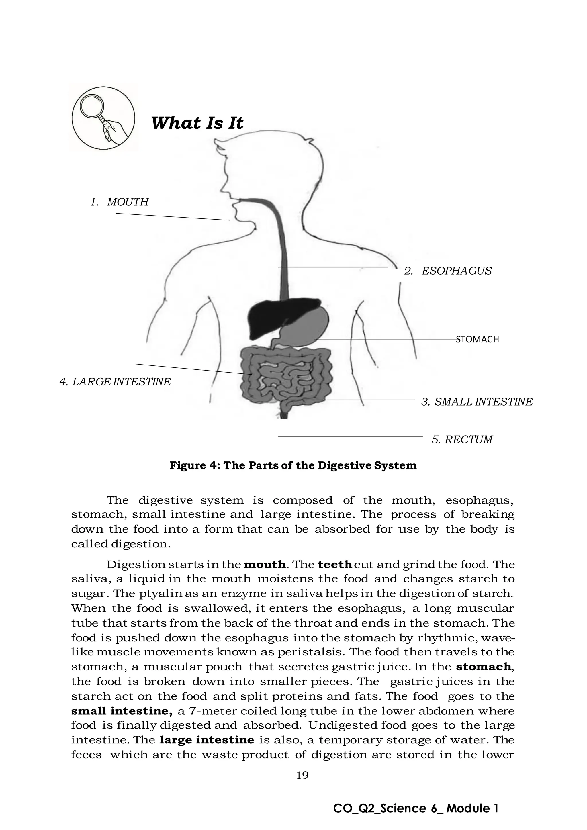 Science6_Q2_Mod1_TheHumanBodySystems_V4 (2).pdf