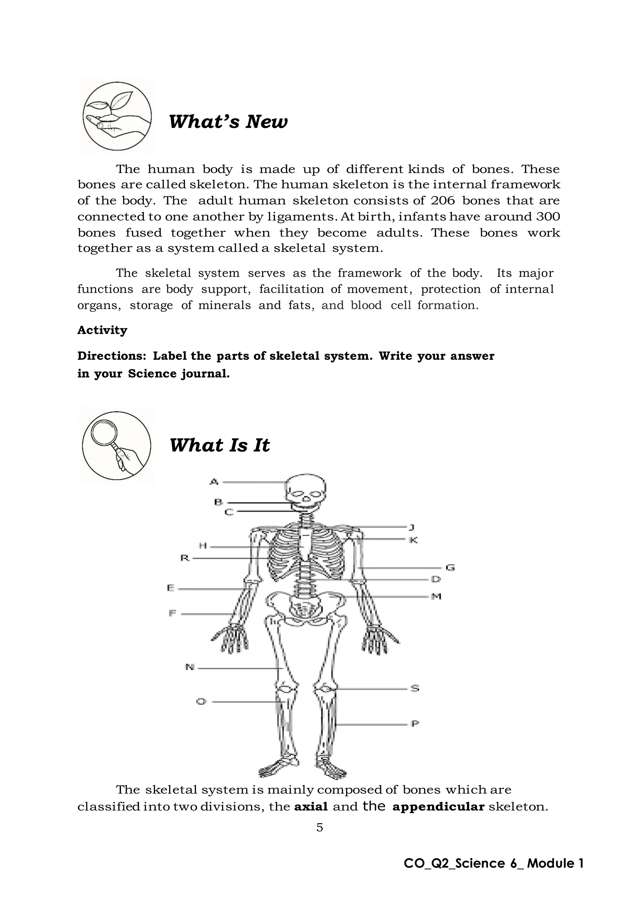 Science6_Q2_Mod1_TheHumanBodySystems_V4 (2).pdf