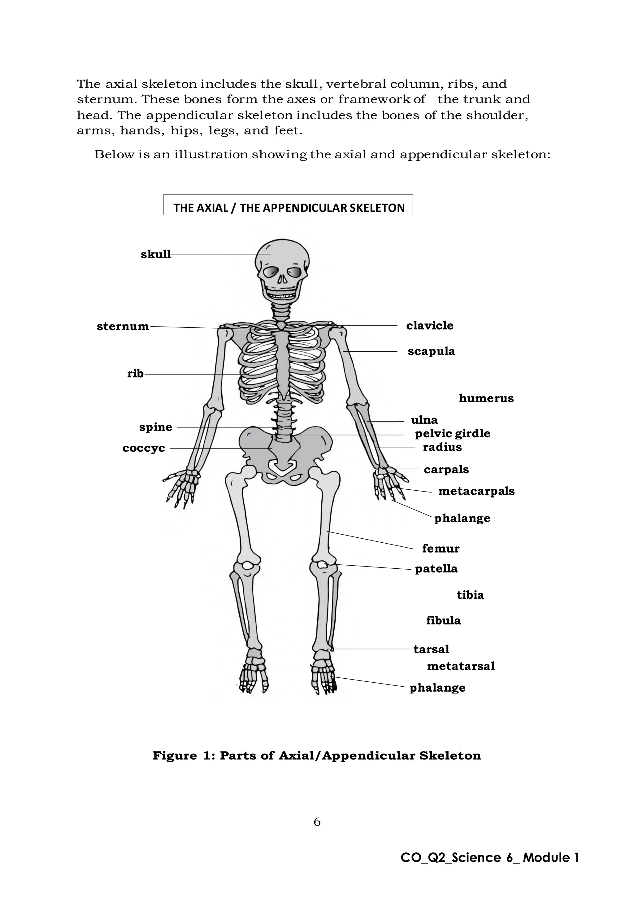 Science6_Q2_Mod1_TheHumanBodySystems_V4 (2).pdf