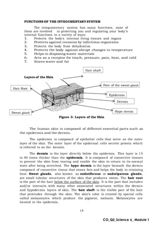 Science6_Q2_Mod1_TheHumanBodySystems_V4 (2).pdf