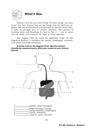 Science6_Q2_Mod1_TheHumanBodySystems_V4 (2).pdf