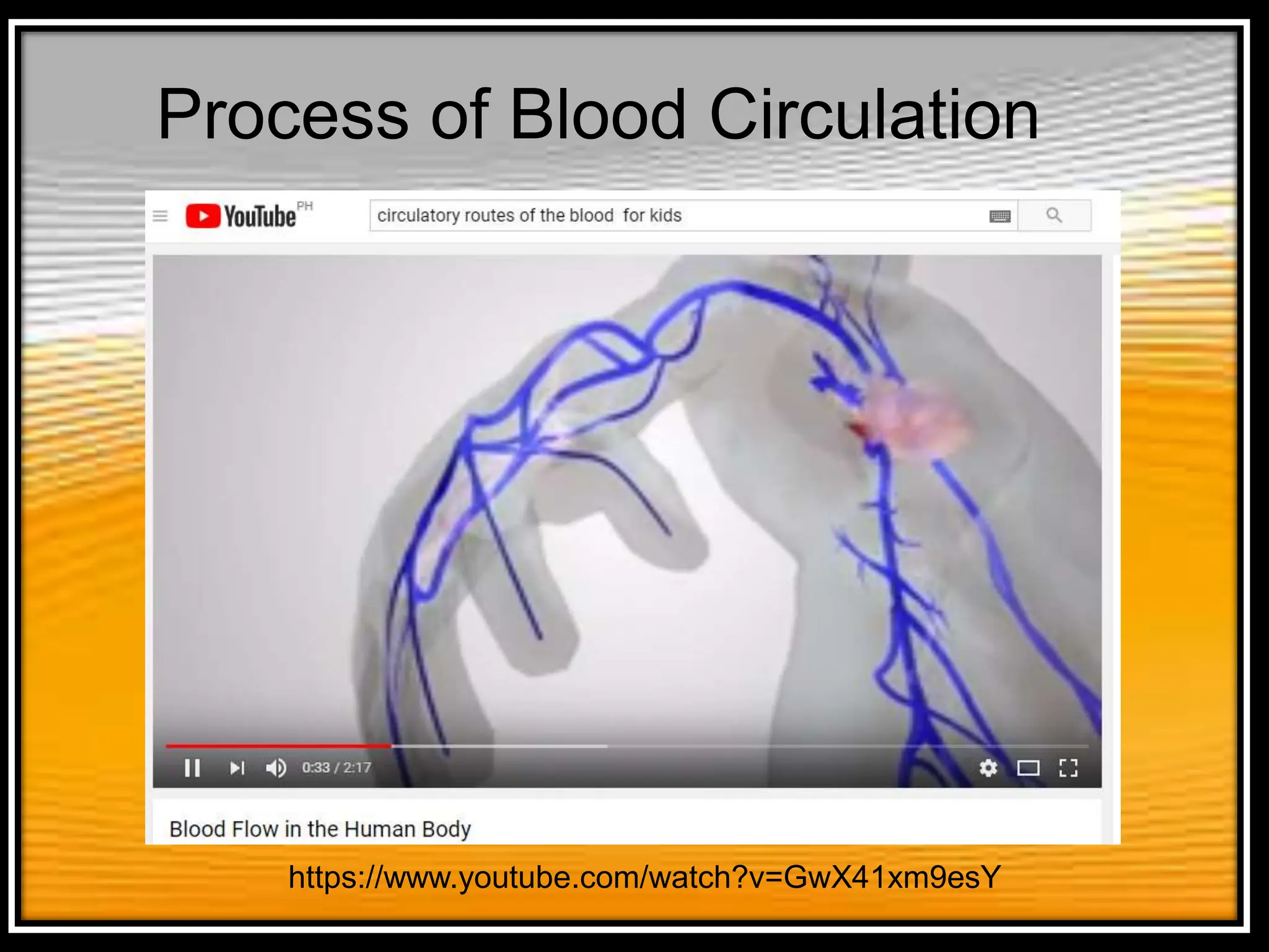 Science6 Q2 week3-circulatory routes of the blood.pptx