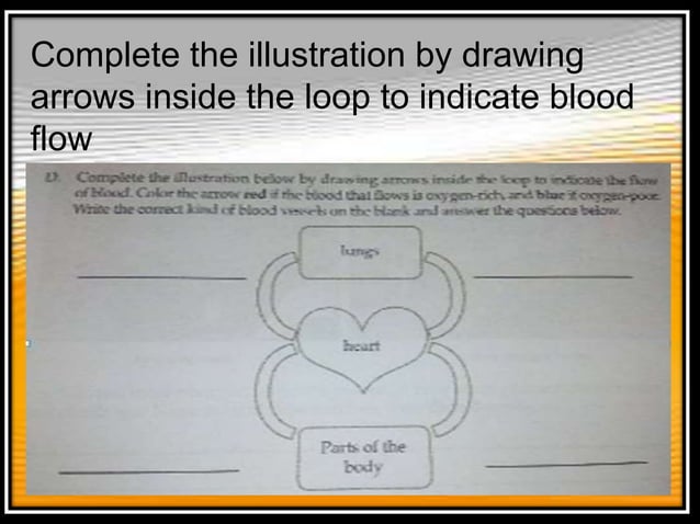 Science6 Q2 week3-circulatory routes of the blood.pptx