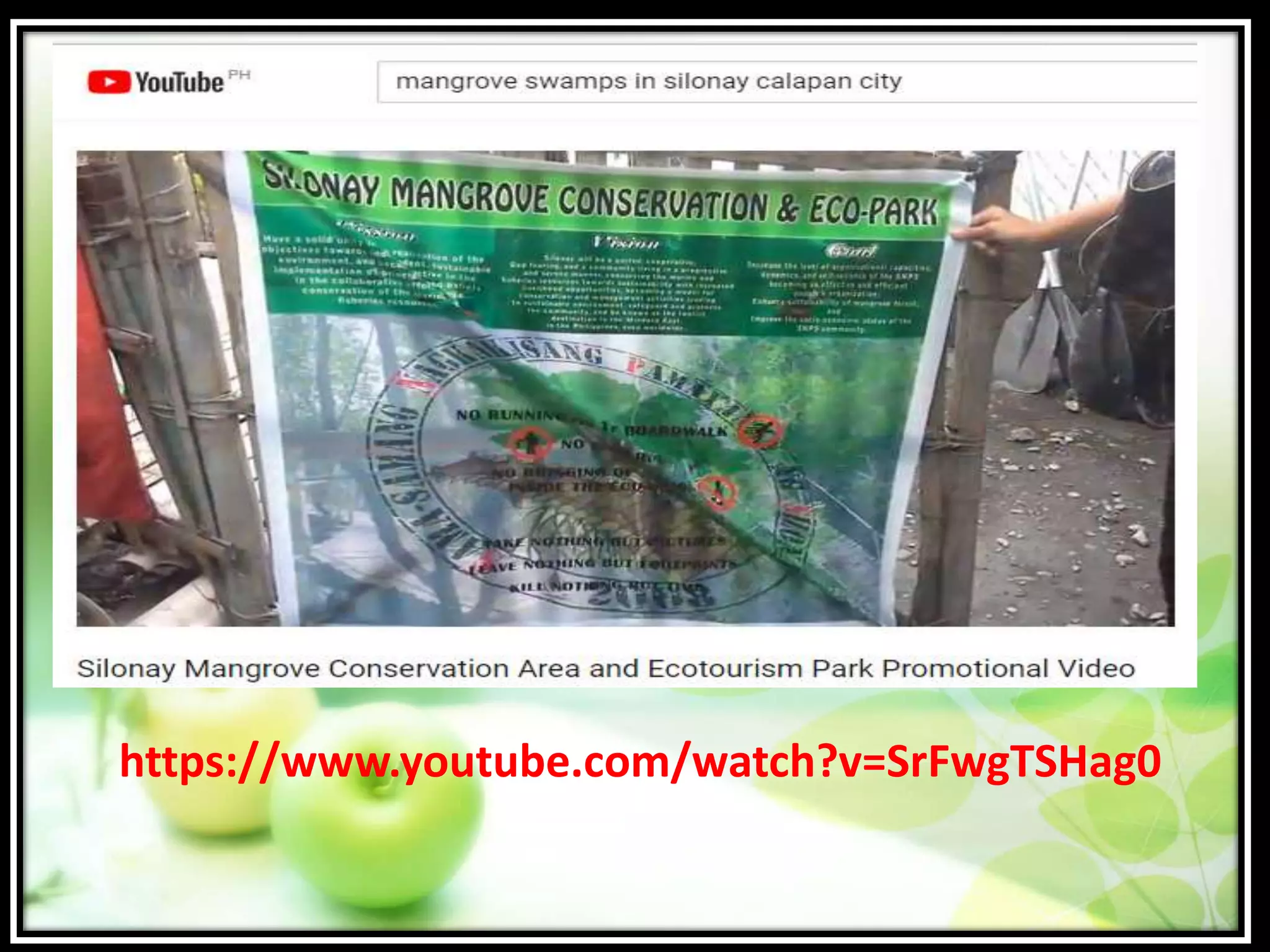 Science6 Q2 week 9 Day 2- Rainforest,Coral Reef and Mangrove swamp (1).pptx