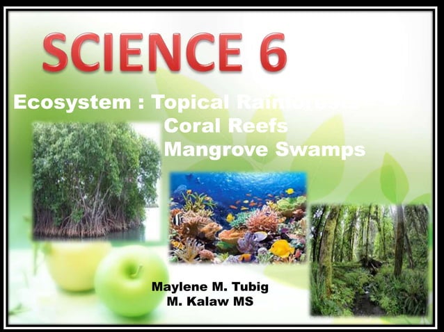 Science6 Q2 week 9 Day 2- Rainforest,Coral Reef and Mangrove swamp (1).pptx