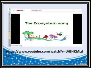 Science6 Q2 week 9 Day 2- Rainforest,Coral Reef and Mangrove swamp (1).pptx