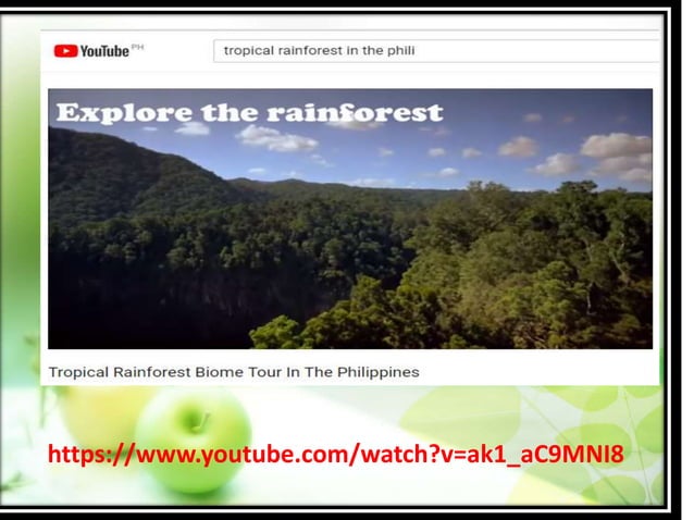 Science6 Q2 week 9 Day 2- Rainforest,Coral Reef and Mangrove swamp (1).pptx