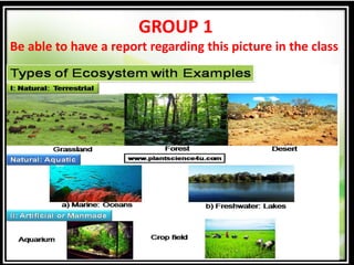 Science6 Q2 week 9 Day 2- Rainforest,Coral Reef and Mangrove swamp (1).pptx