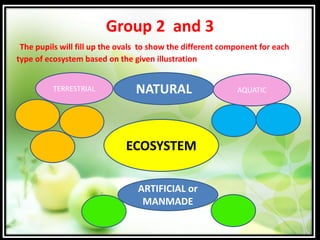 Science6 Q2 week 9 Day 2- Rainforest,Coral Reef and Mangrove swamp (1).pptx