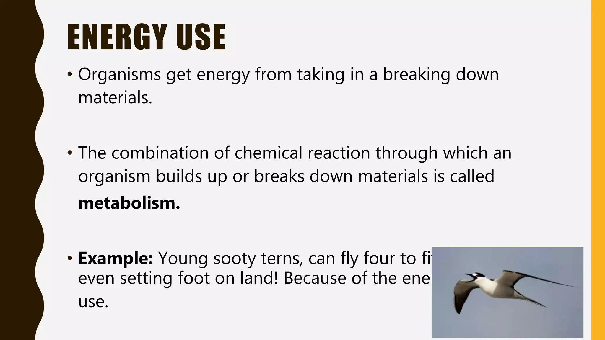 Chapter 1 "Introduction to living things" | PPTX