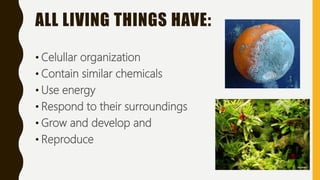 Chapter 1 "Introduction to living things" | PPTX