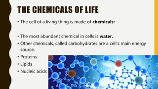 Chapter 1 "Introduction to living things" | PPTX