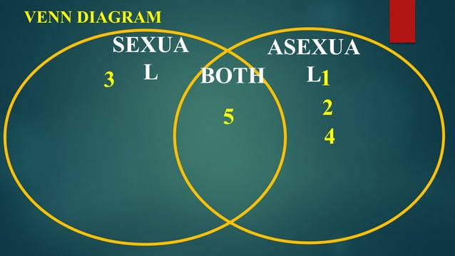 SCIENCE 7 - Q2W5 Slides.pdf | Free Download