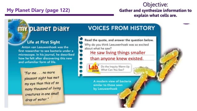 SCIENCE 7 - SEM 1 - WEEK 1.pptx