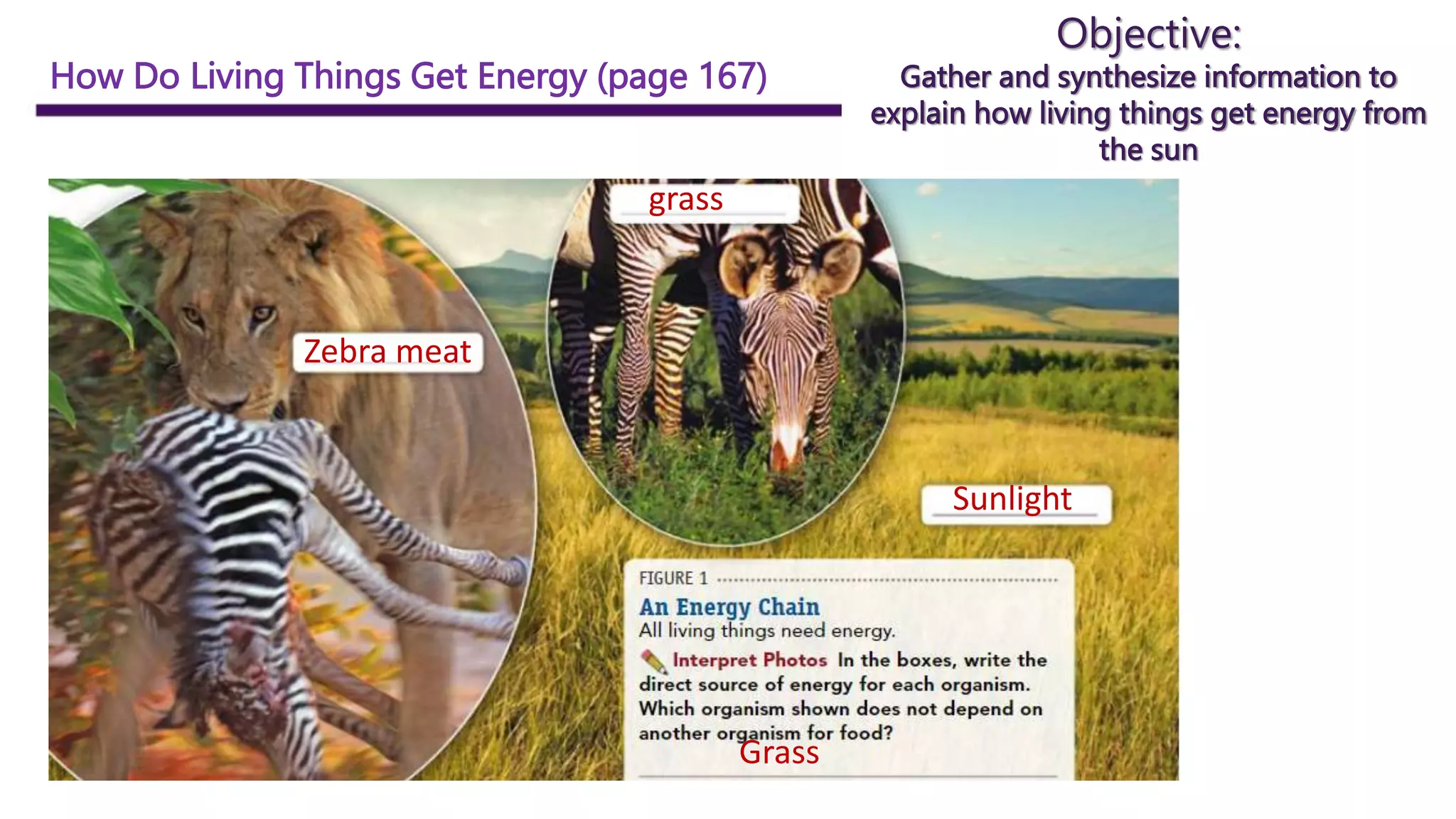 SCIENCE 7 - SEM 1 - WEEK 4.pptx | Chemistry | Science