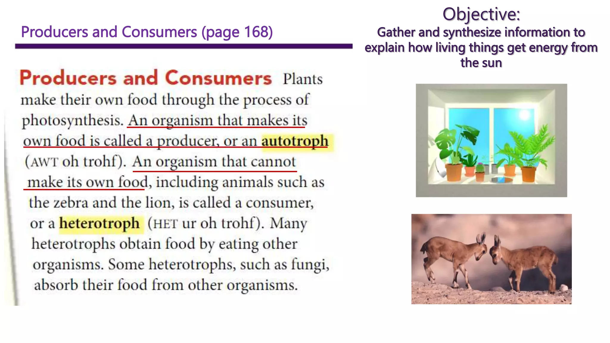 SCIENCE 7 - SEM 1 - WEEK 4.pptx | Chemistry | Science
