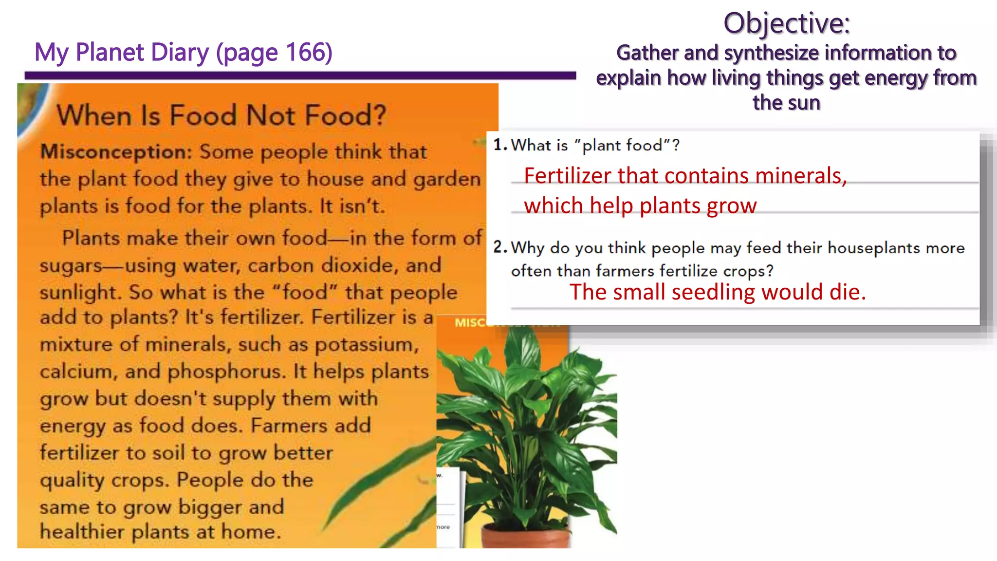 SCIENCE 7 - SEM 1 - WEEK 4.pptx | Chemistry | Science