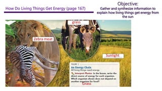 SCIENCE 7 - SEM 1 - WEEK 4.pptx | Chemistry | Science