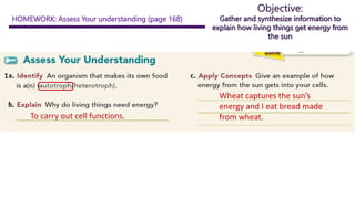 SCIENCE 7 - SEM 1 - WEEK 4.pptx | Chemistry | Science