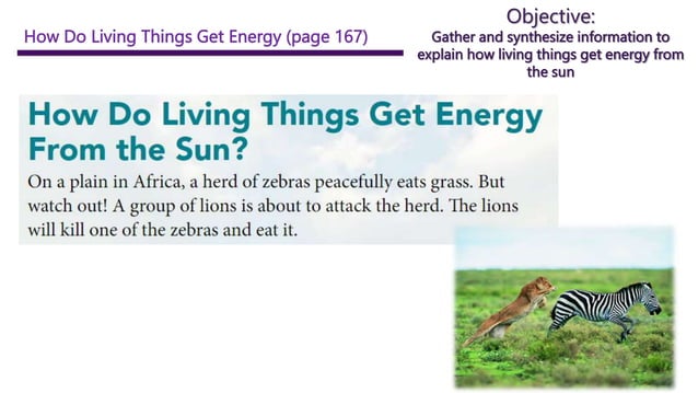 SCIENCE 7 - SEM 1 - WEEK 4.pptx | Chemistry | Science