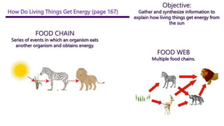 SCIENCE 7 - SEM 1 - WEEK 4.pptx | Chemistry | Science