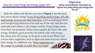 SCIENCE 7 - SEM 1 - WEEK 4.pptx | Chemistry | Science