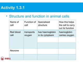 Specialized Cells - Science _ 7 1.3.pptx