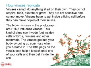 Science_7 4.2.pptx-Viruses-Living or Non-Living | PPTX