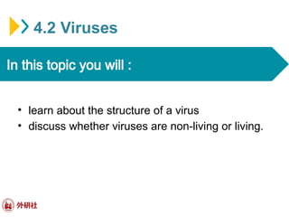 Science_7 4.2.pptx-Viruses-Living or Non-Living | PPTX