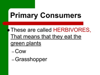 Science 7 notes glb lab 04b food chains and food webs | PPTX