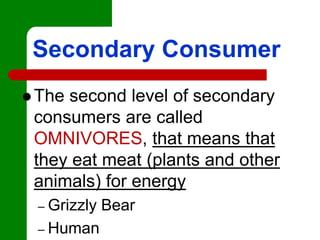 Science 7 notes glb lab 04b food chains and food webs | PPTX