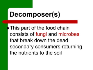 Science 7 notes glb lab 04b food chains and food webs | PPTX