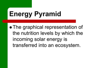 Science 7 notes glb lab 04b food chains and food webs | PPTX