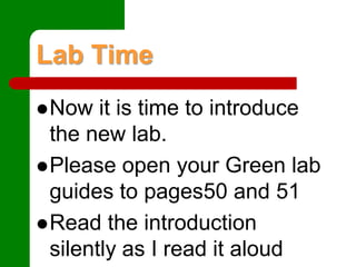 Science 7 notes glb lab 04b food chains and food webs | PPTX