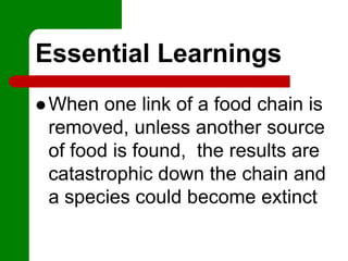 Science 7 notes glb lab 04b food chains and food webs | PPTX