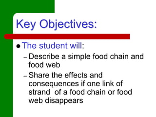 Science 7 notes glb lab 04b food chains and food webs | PPTX
